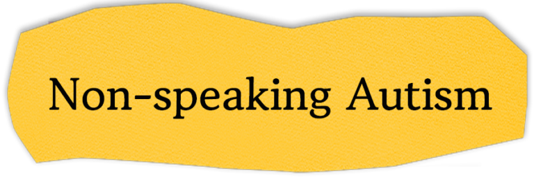 AAC and autism resources | This Is Not About Me